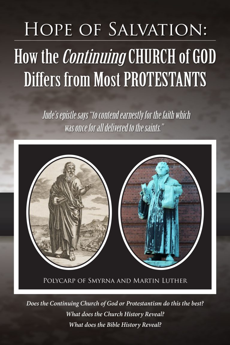 Protestant Book Cover V2 – CCOG